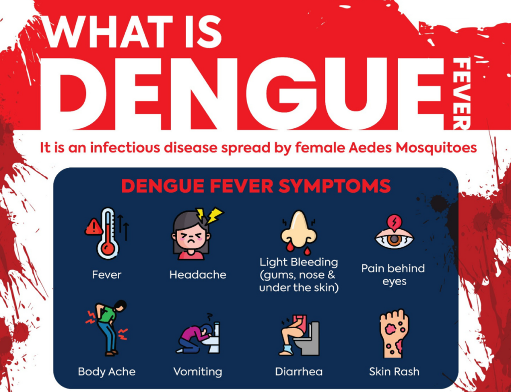 Understanding Dengue Fever: Symptoms & Prevention - Qualitas Health Malaysia